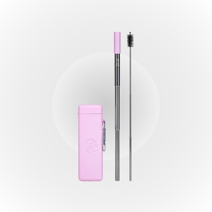 ZUS® Official Store | ZUS Reusable Straw Kit - 1's