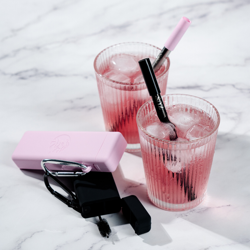 ZUS® Official Store | ZUS Reusable Straw Kit - 1's